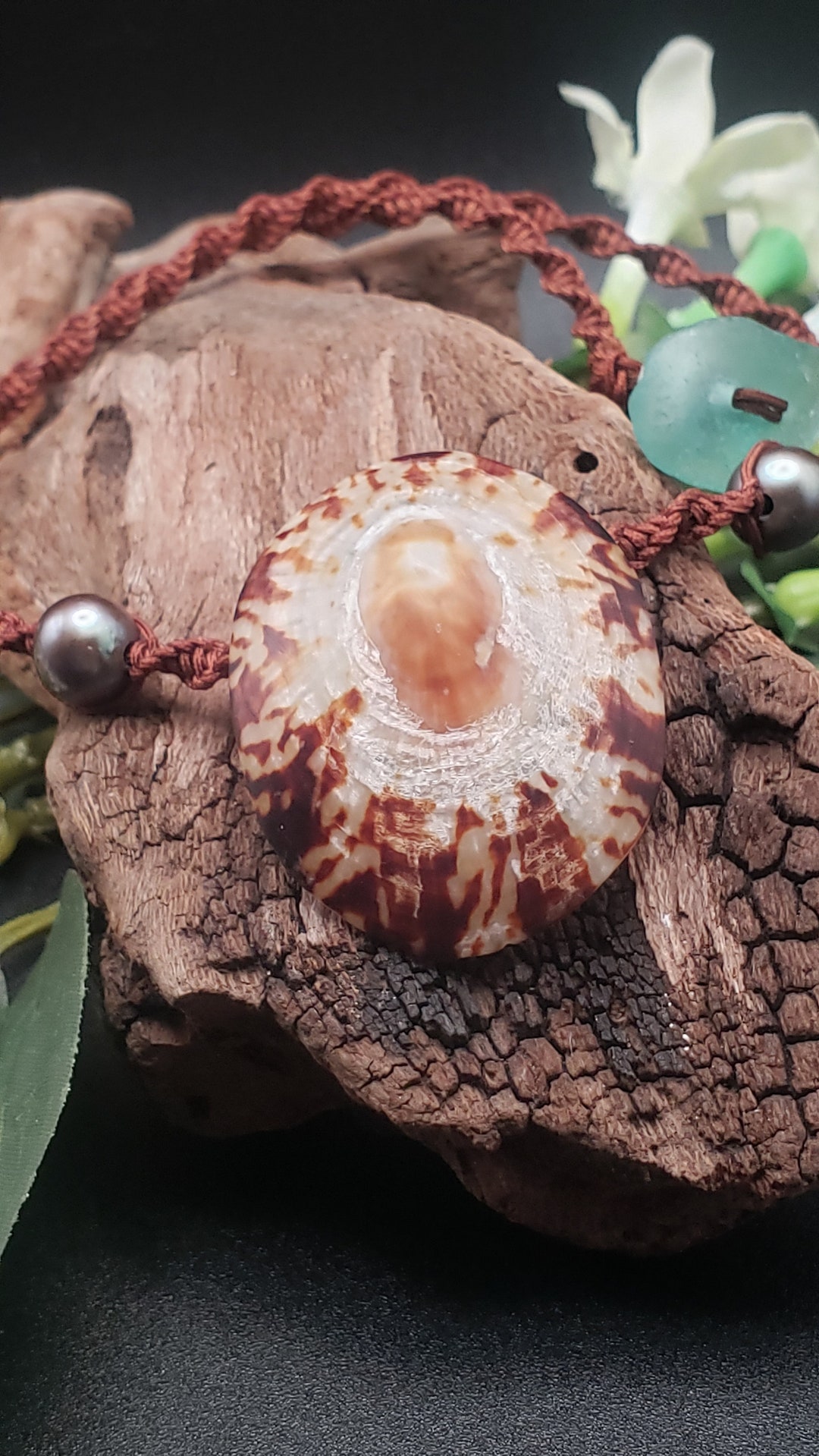 Giant Polished Opihi Lei, Large Hawaii Opihi Necklace, Hawaiian Shell ...