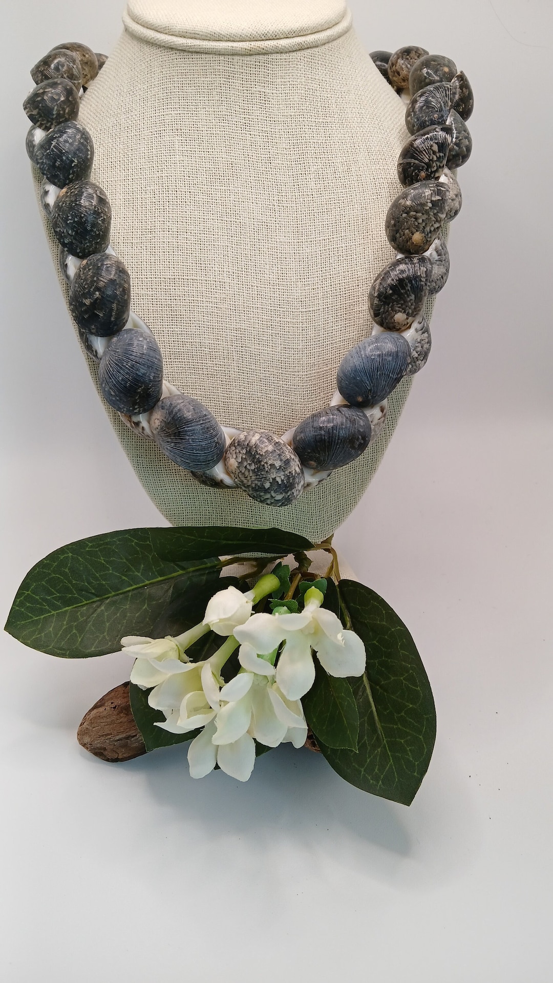 Traditional Hawaiian Kupee Shell Lei, Hawaiian Shell Choker, Polished ...