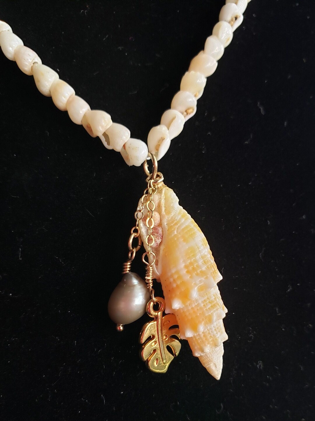 Big Mouth Momi Shells Niihau Shell Jewelry Classic Hawaii - Etsy
