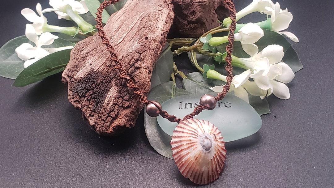 Hawaiian Opihi Shell Choker: Chocolate Pearl Surfer Necklace - Etsy