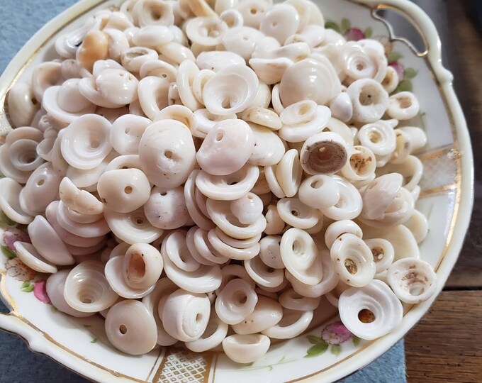 Hawaiian Puka Shells, Mixed Puka Shells, Puka Shell Lot, Genuine Puka ...