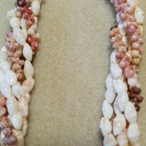 5 Strand Niihau Shell Lei, Kahelelani Laiki Shell Necklace, Classic ...