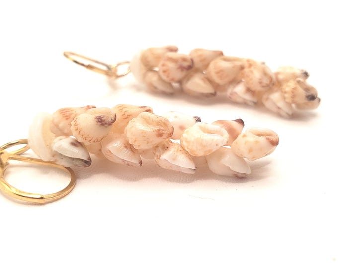 Momi Onikiniki Earrings, Pikake Style, Momi Shell Earrings, Niihau ...