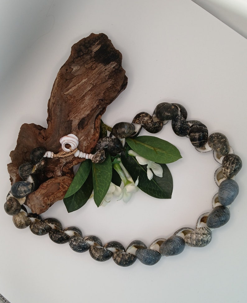 Traditional Hawaiian Kupee Shell Lei, Hawaiian Shell Choker, Polished ...