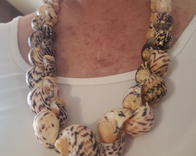 Chunky Kupee Shell Lei, Nerite Choker, Florida Blood Tooth Shell ...