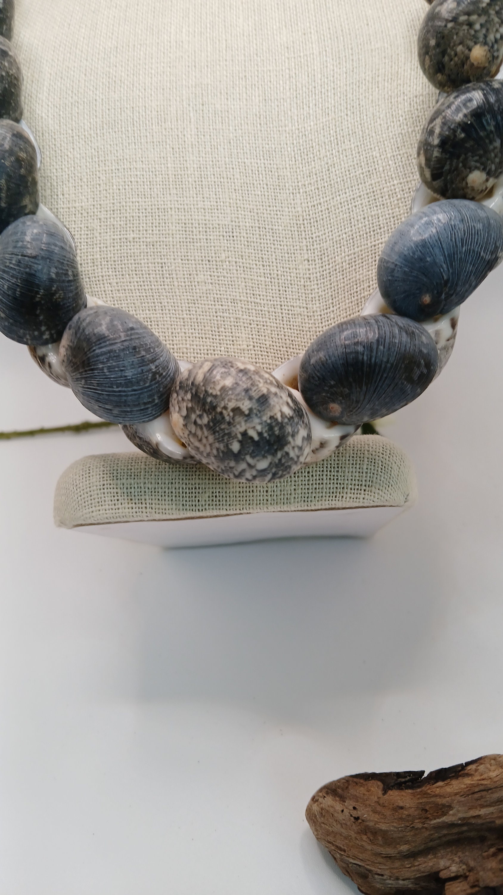 Traditional Hawaiian Kupee Shell Lei, Hawaiian Shell Choker, Polished ...