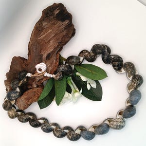 Traditional Hawaiian Kupee Shell Lei: Nerite Seashell Choker - Etsy