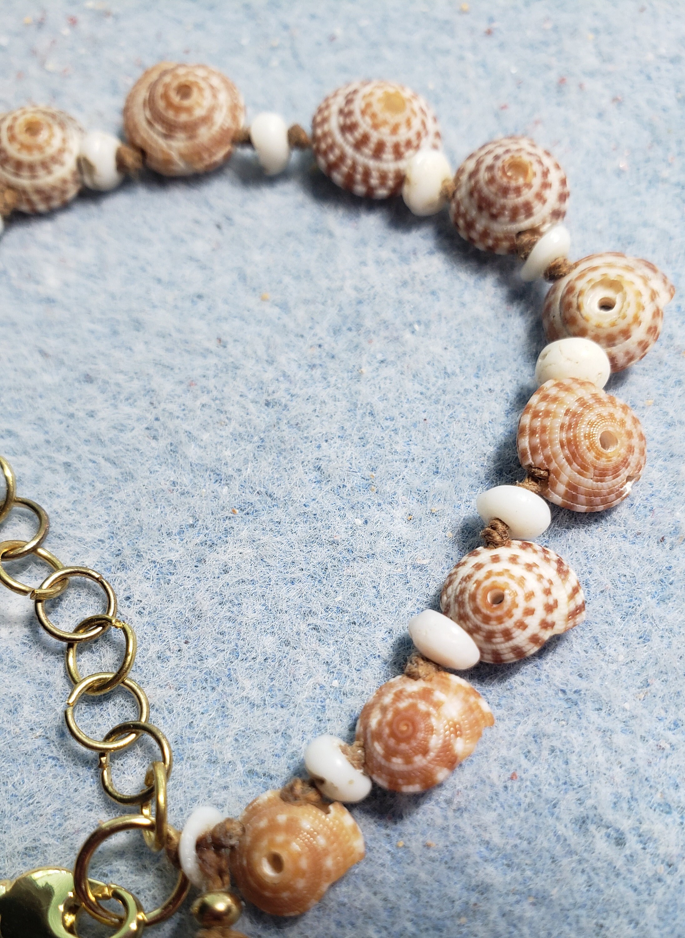 Knotted Hawaii Sundial Shells, Sundial Shell Bracelet, Adjustable Shell ...