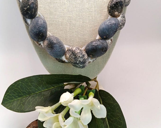 Traditional Hawaiian Kupee Shell Lei: Nerite Seashell Choker - Etsy