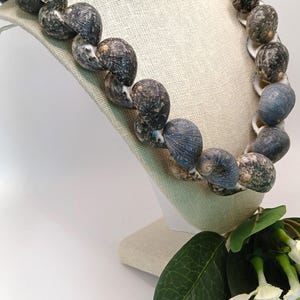 Traditional Hawaiian Kupee Shell Lei: Nerite Seashell Choker - Etsy