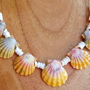 7 Sunrise Shell Choker, Hawaiian Sunrise Shell Necklace,moonrise Choker ...