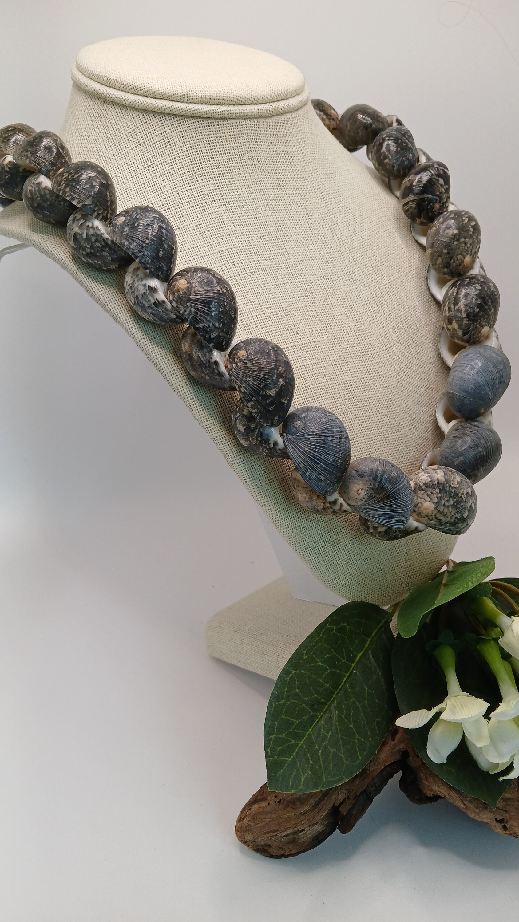 Traditional Hawaiian Kupee Shell Lei, Hawaiian Shell Choker, Polished ...