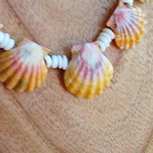 7 Sunrise Shell Choker, Hawaiian Sunrise Shell Necklace,moonrise Choker ...