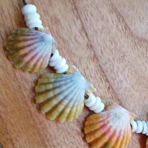 7 Sunrise Shell Choker, Hawaiian Sunrise Shell Necklace,moonrise Choker ...