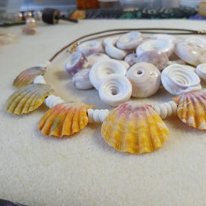 7 Sunrise Shell Choker, Hawaiian Sunrise Shell Necklace,moonrise Choker ...