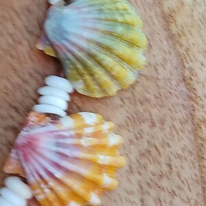 7 Sunrise Shell Choker, Hawaiian Sunrise Shell Necklace,moonrise Choker ...
