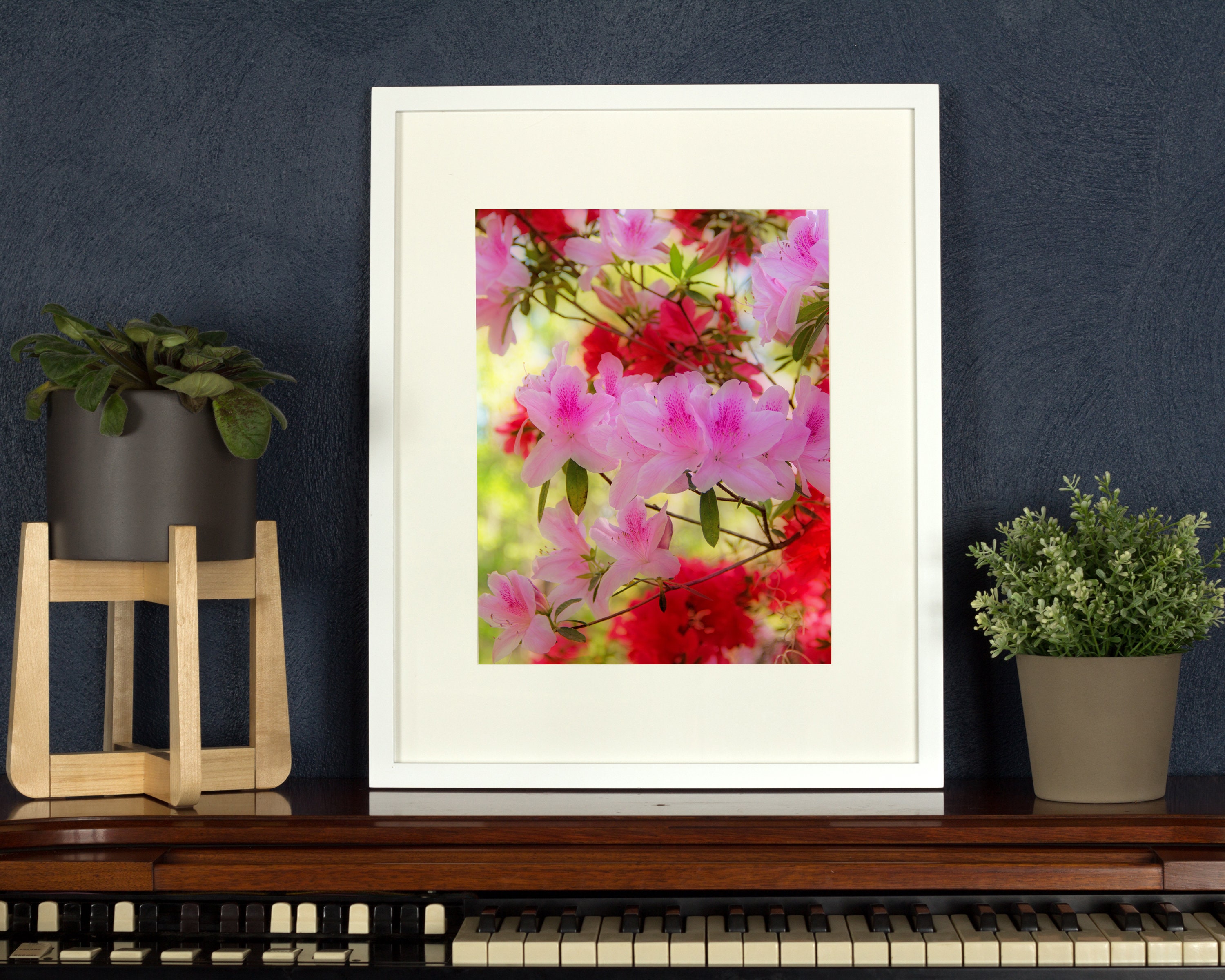 Azalea Floral Print Botanical Garden Flower Photography - Etsy