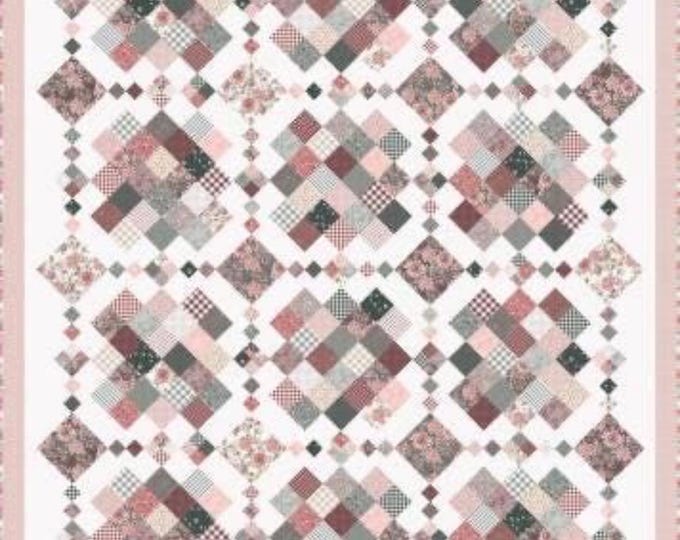 Tula Pink Tunnel Vision Quilt Kit With Linework Fabrics - Etsy