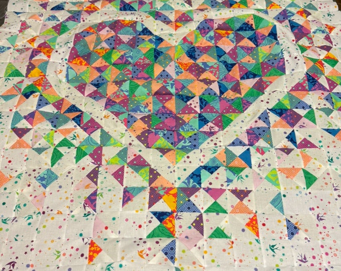 Tula Pink Tunnel Vision Quilt Kit With Linework Fabrics - Etsy