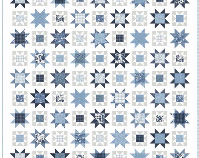 Tula Pink Tunnel Vision Quilt Kit With Linework Fabrics - Etsy