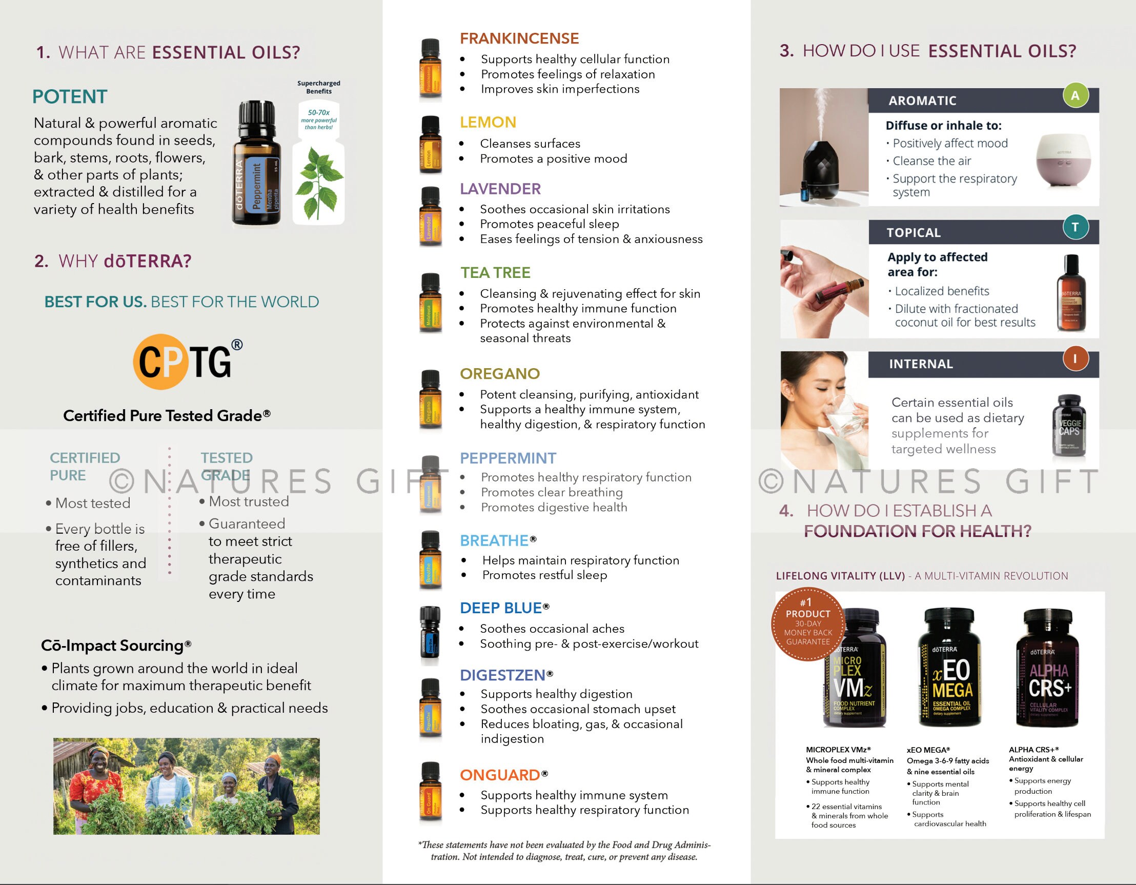 Intro to Oils Doterra Marketing Brochure US Market 2023 - Etsy