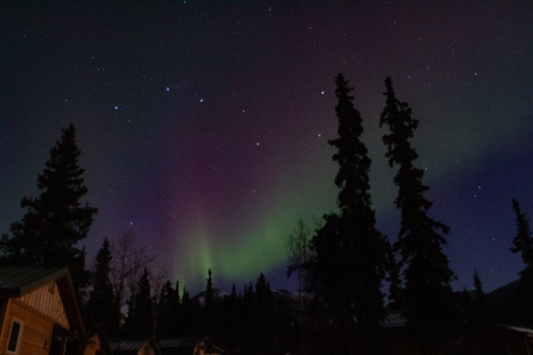 Northern Lights Aurora Borealis Denali National Park Big Dipper - Etsy