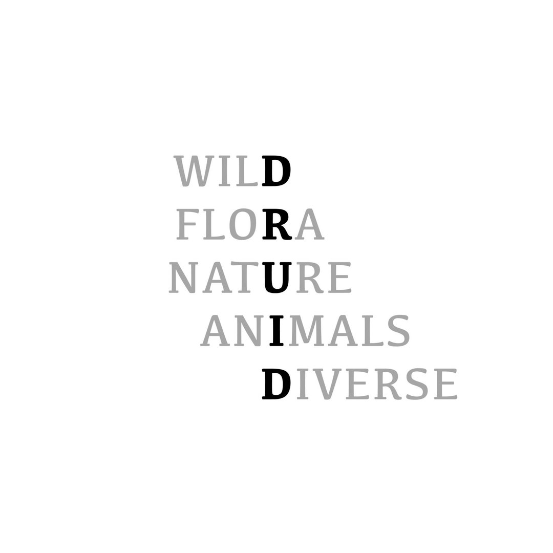 Druid One-word Poem/acronym, SVG File, Dungeons and Dragons, RPG ...