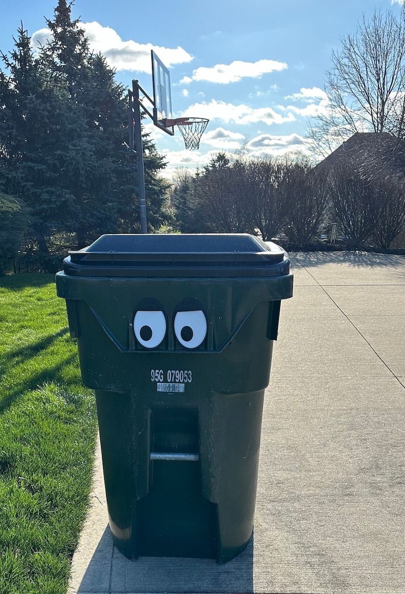 Giant Funny Eyes: Novelty Decor for Trash Cans, Fridges, Doors - Etsy UK