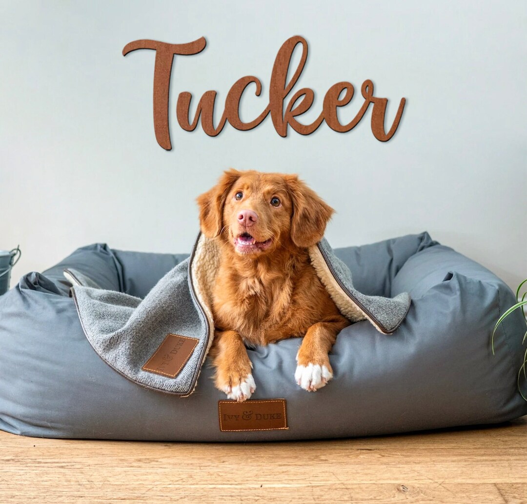 Personalized Dog Name Sign Dog Decor, Engraved Dog Tag, Custom Create ...