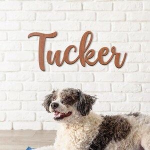 Personalized Dog Name Sign Dog Decor, Engraved Dog Tag, Custom Create ...