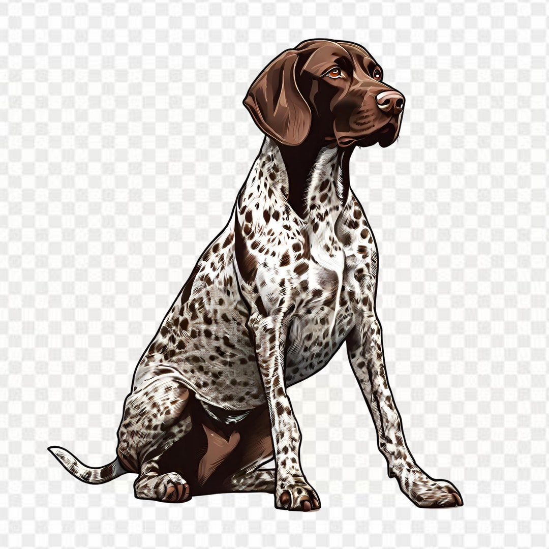 German Shorthaired Pointer PNG and JPG ART for Print. - Etsy