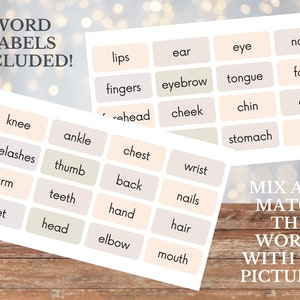 BODY PARTS real Pictures 32 Montessori Cards Flash Cards Nomenclature ...