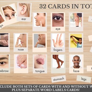 BODY PARTS real Pictures 32 Montessori Cards Flash Cards Nomenclature ...