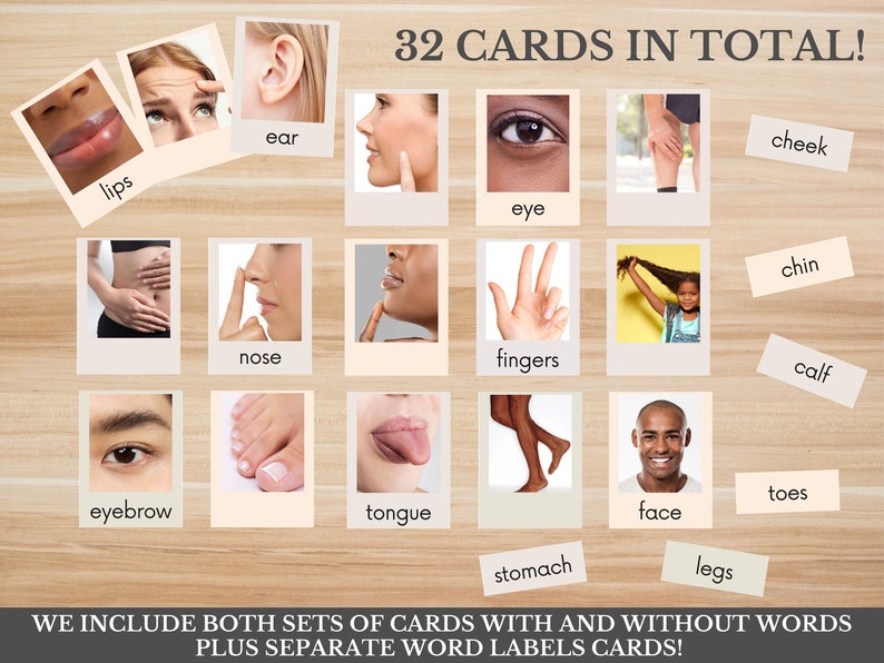 BODY PARTS real Pictures 32 Montessori Cards Flash Cards - Etsy