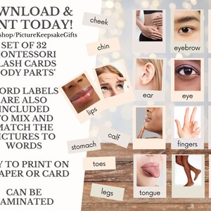 BODY PARTS real Pictures 32 Montessori Cards Flash Cards Nomenclature ...