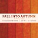 Fall Into Autumn, Fall Color Paper, Digital Paper, Paint Texture ...