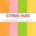 Citrus Hues, Summer Digital Paper, Fruit Color Palette, Soft Art ...