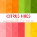 Citrus Hues, Summer Digital Paper, Fruit Color Palette, Soft Art ...