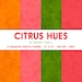 Citrus Hues, Summer Digital Paper, Fruit Color Palette, Soft Art ...