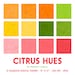 Citrus Hues, Summer Digital Paper, Fruit Color Palette, Soft Art ...