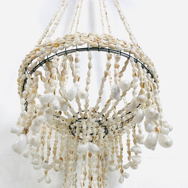Seashell Chandelier - Etsy