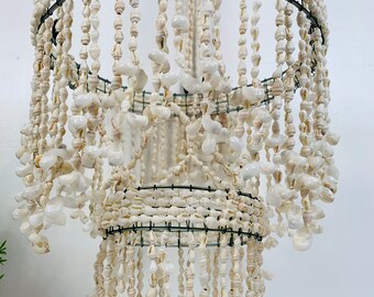 Hanging Shell Plant Holder - Etsy