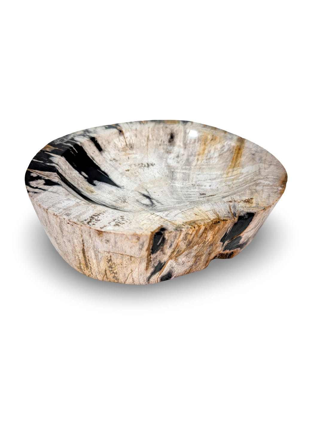Fossil Wood Bowl: Hand-carved Petrified Wood Vessel Dish - Etsy