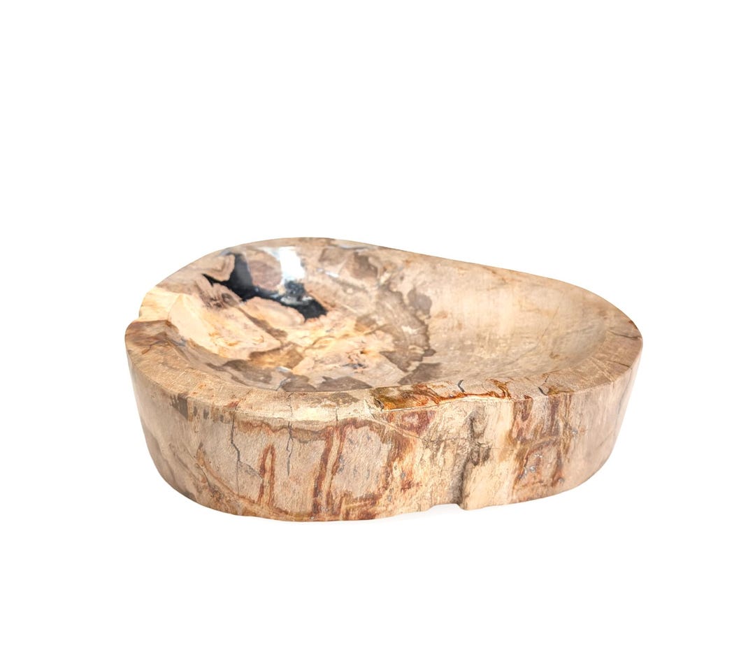 Fossil Stone Bowl, Petrified Wood Bowl, Petrified Wood Dish, Natural ...