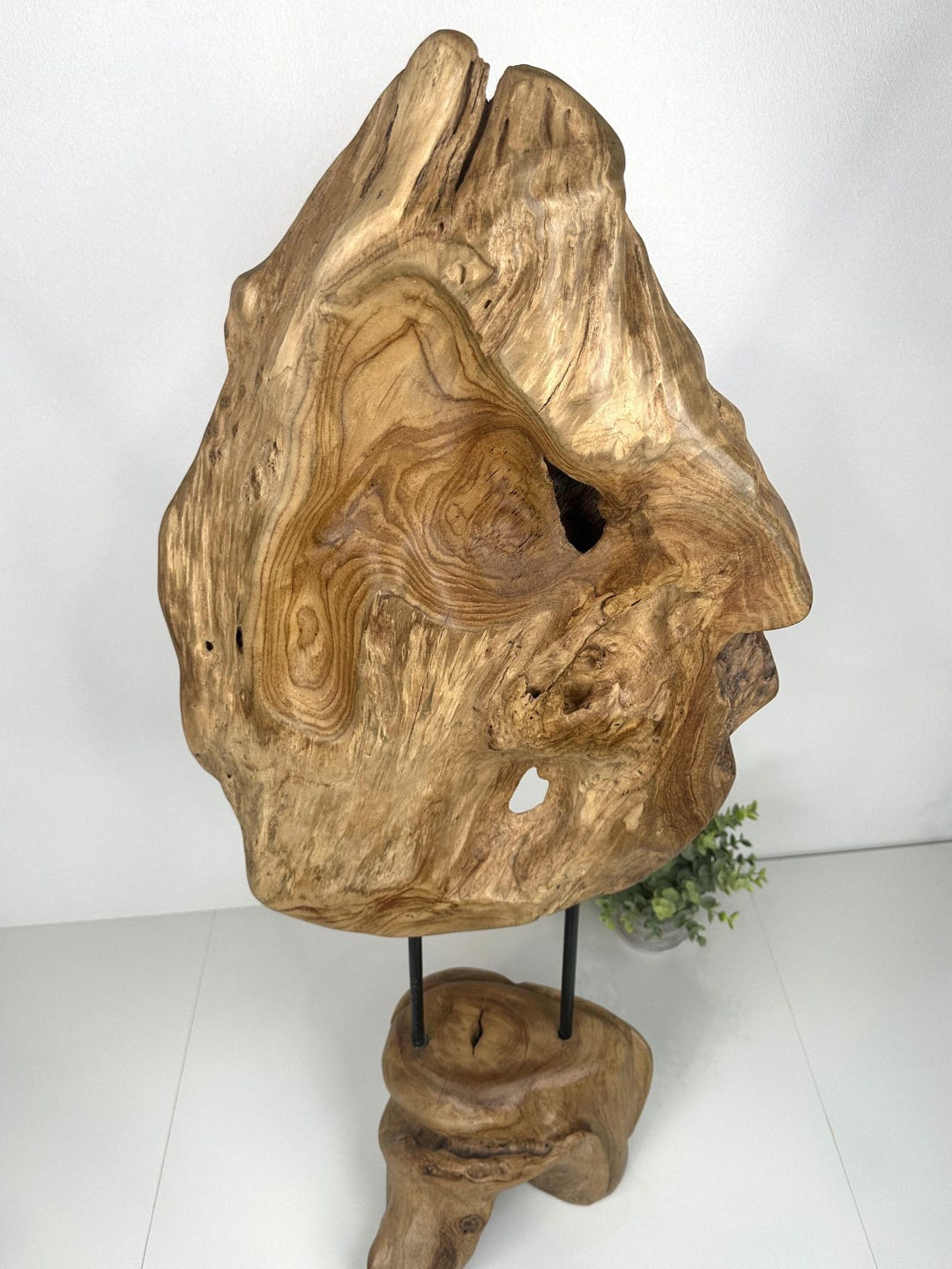 Teak Root Sculpture: Raw Wood Abstract Art, Den Decor (35" Tall) - Etsy