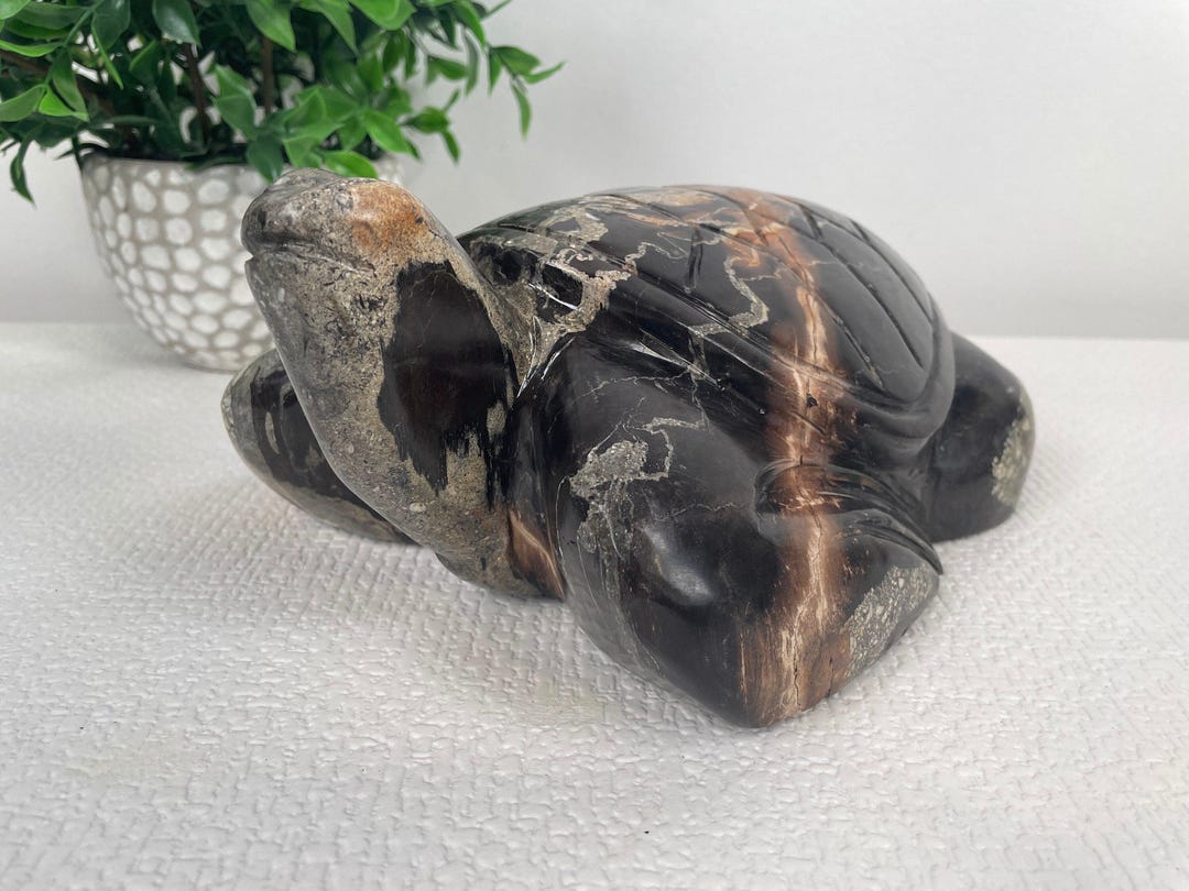 PETRIFIED WOOD TURTLE, Turtle Garden Statue, Petrified Wood Sculpture ...