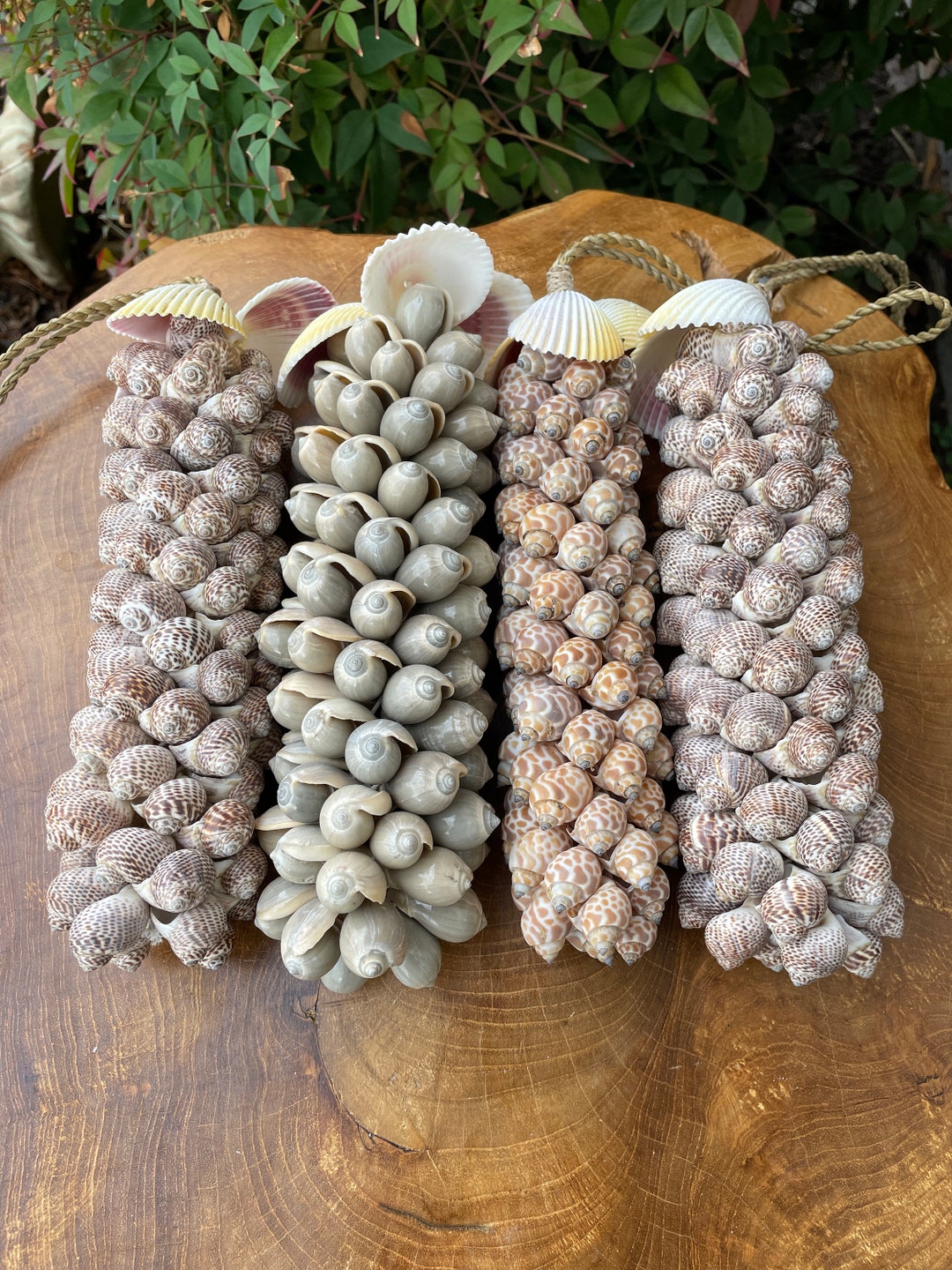 SHELL CLUSTER TASSEL, Shell Tassel, Beach Home Decor, Boho Shell Tassel ...