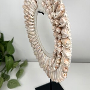 SEASHELL ACCENT ART Primitive Shell Wall Art Decorative - Etsy