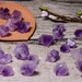Skeletal Amethyst Crystal Cluster Amethyst Specimen Purple Stone ...