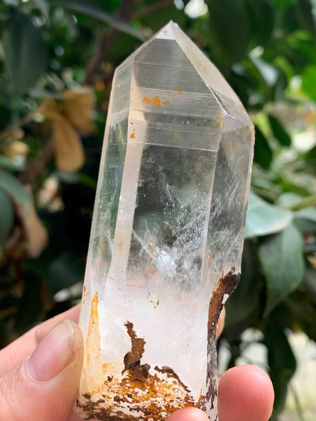 The Dow Quartz Lemurian Record-keeper Crystal/clear Quartz Point ...